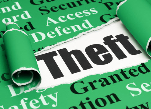 Types of Theft in Florida